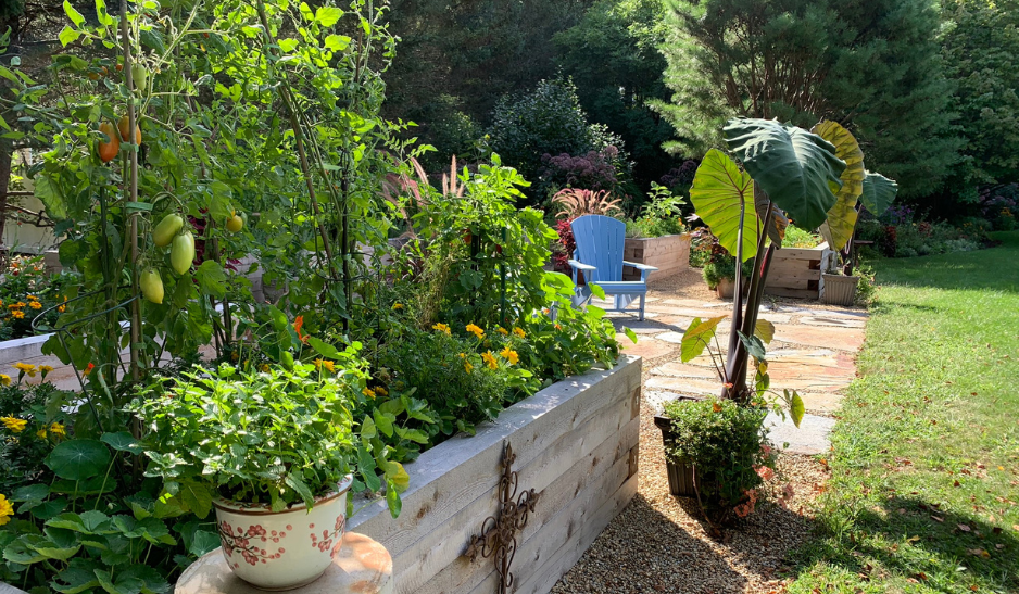 Grow Your Own: A Beginner's Guide to Sustainable Vegetable Gardening at ...