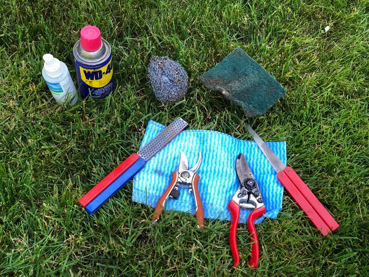 How to maintain and protect your gardening tools: a guide for beginners
