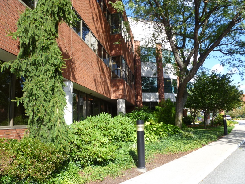 Can Landscape Design Increase Tenant Safety? 8 Tips That Can Help Keep ...