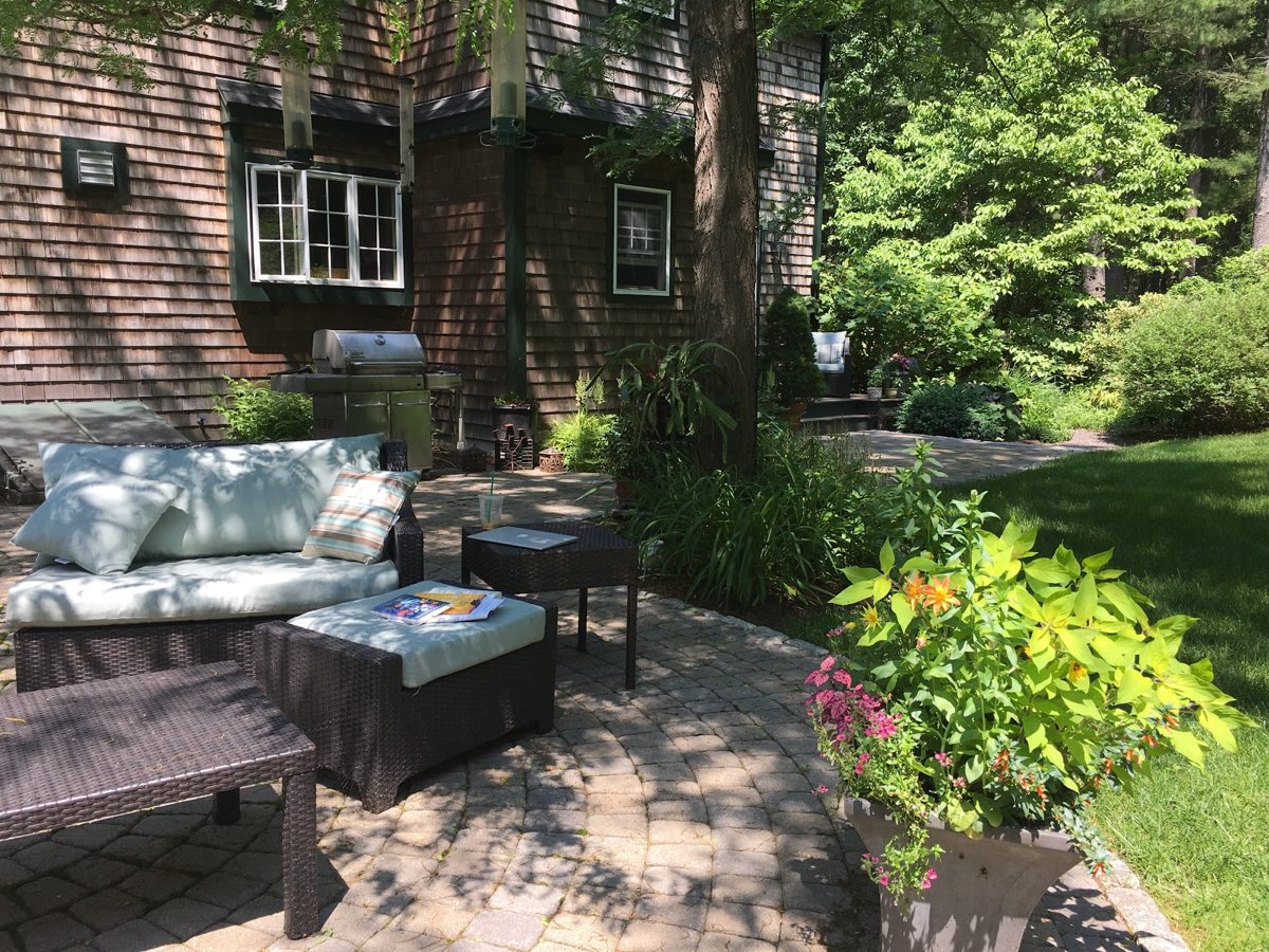 The Importance of Understanding Available Sun for Your Garden