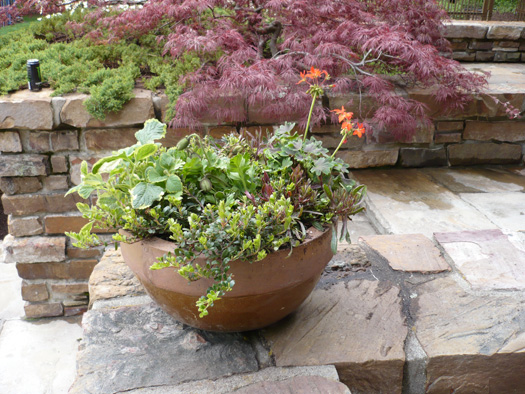 Using landscape containers to add beauty to your home
