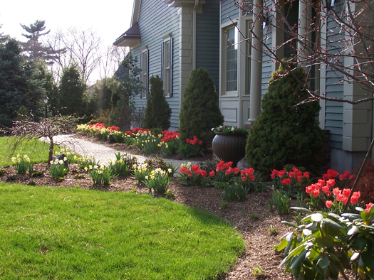 Bulb Garden Landscaping Ideas