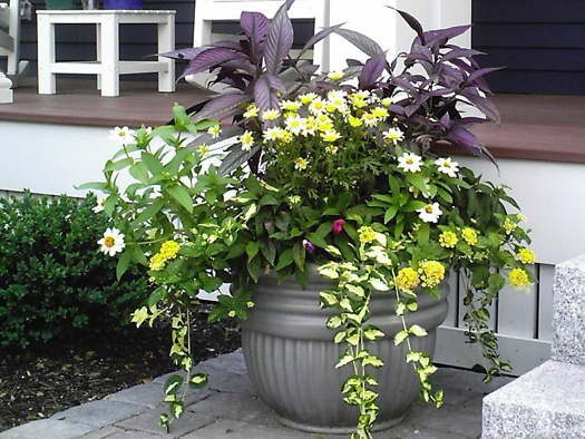 Using landscape containers to add beauty to your home