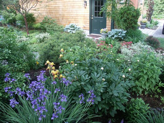 Perennial Landscaping Ideas