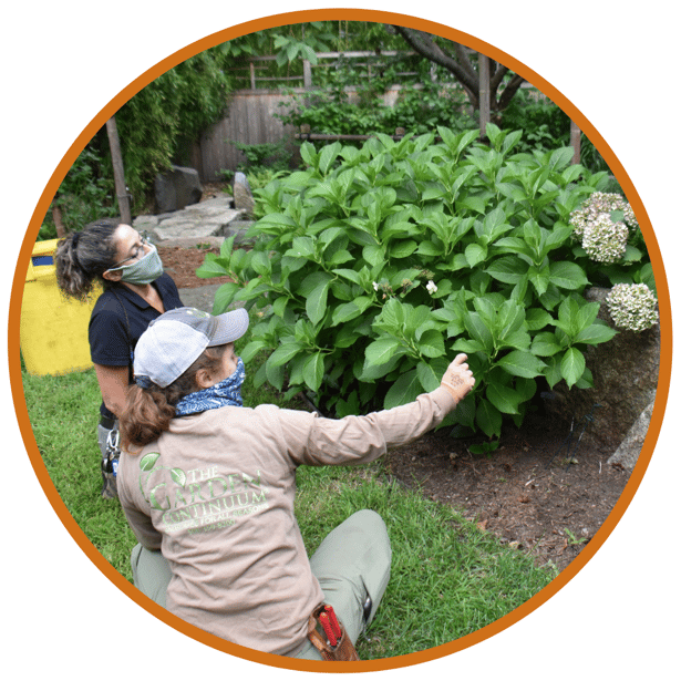 Landscape Jobs & Careers | Medfield MA