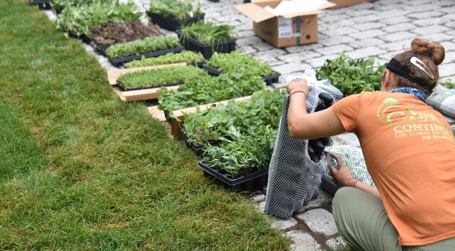 How Regenerative Gardening Will Help Fight Climate Change Now