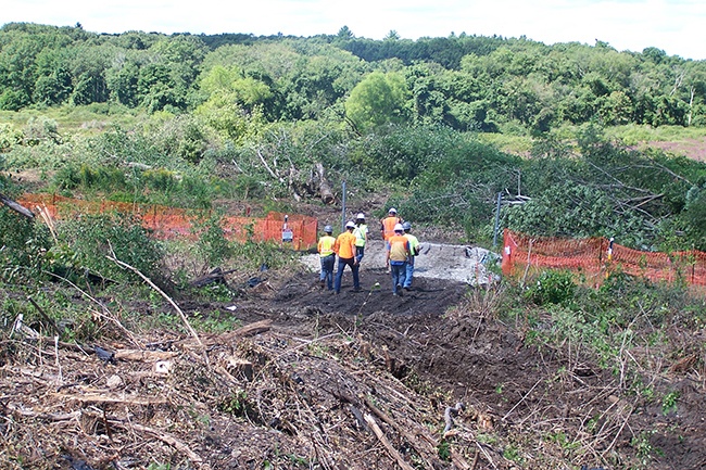 Environmental Restoration Landscapes